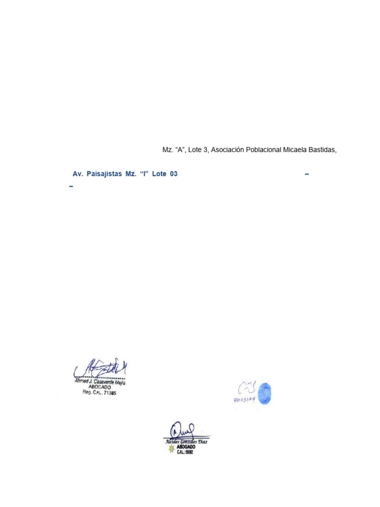 Defensa Conjunta | PDF