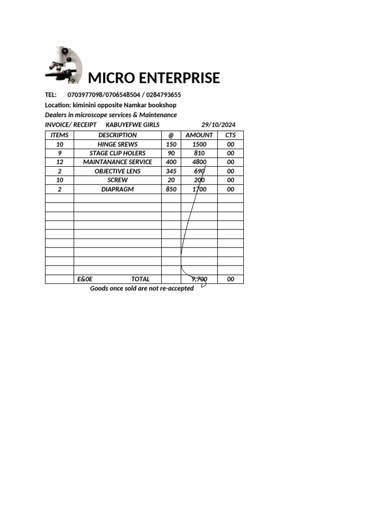 Micro Enterprise | PDF