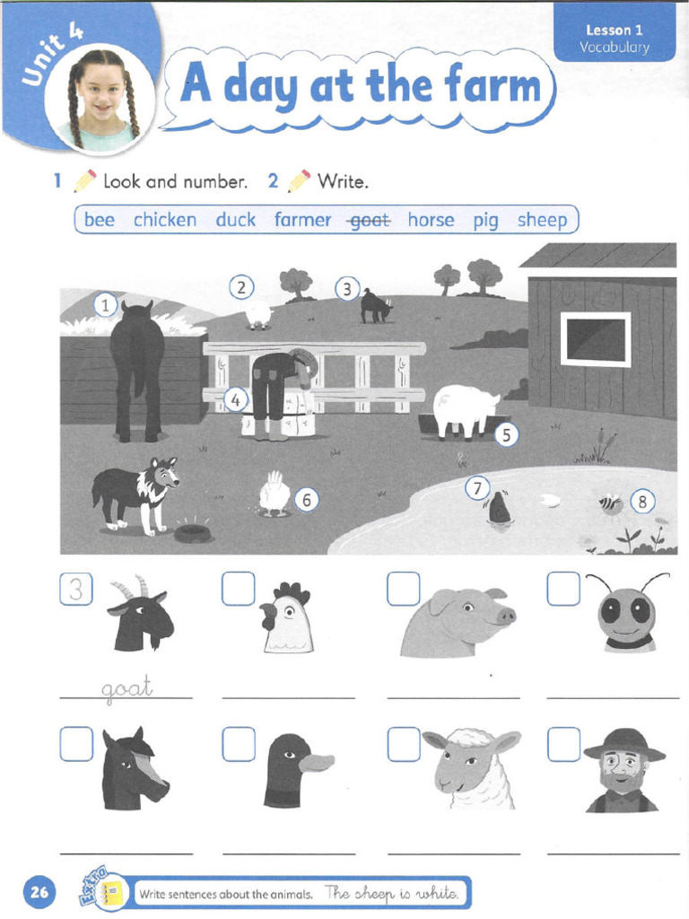 pdfcoffee.com-all-about-us-2-activity-book-27-34 | PDF