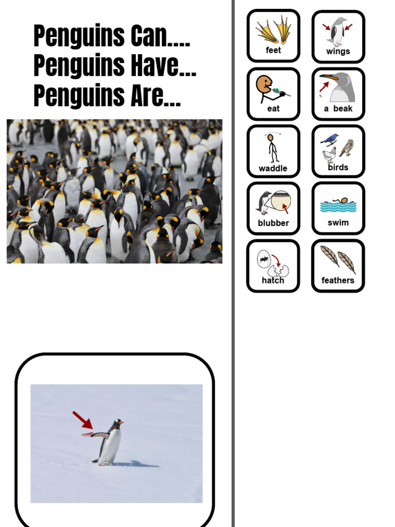 Penguins CAN | PDF