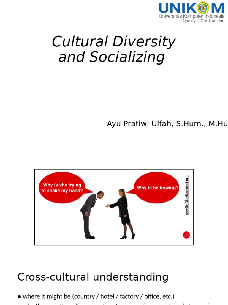 Cultural Diversity | PDF