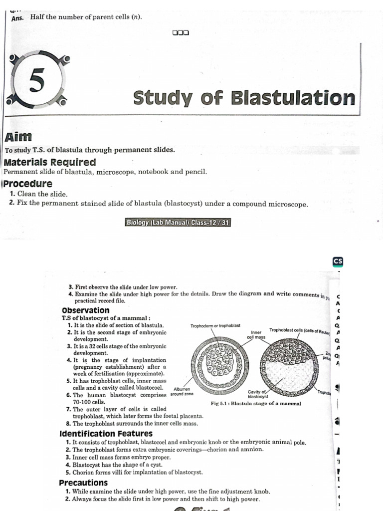 Spotting Biology English | PDF
