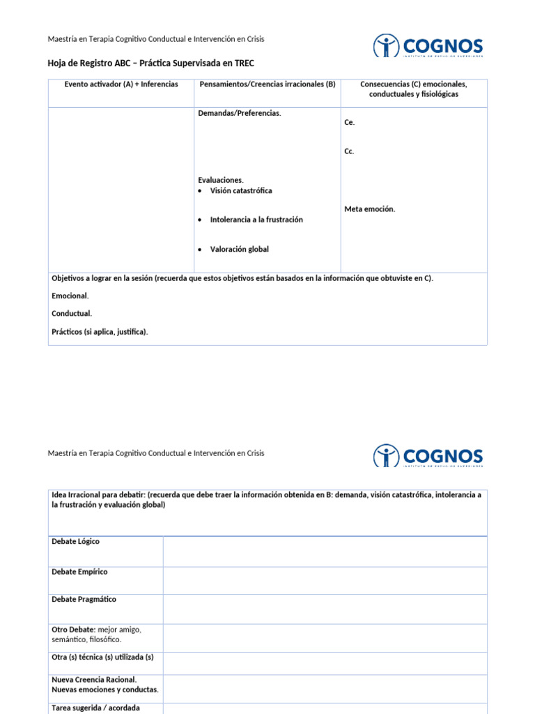 Hoja de Registro ABC - Práctica Supervisada en TREC Maestria | PDF