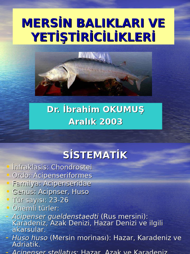 Mersi̇n Baliklari Ve Yeti̇şti̇ri̇ci̇li̇kleri̇ | PDF