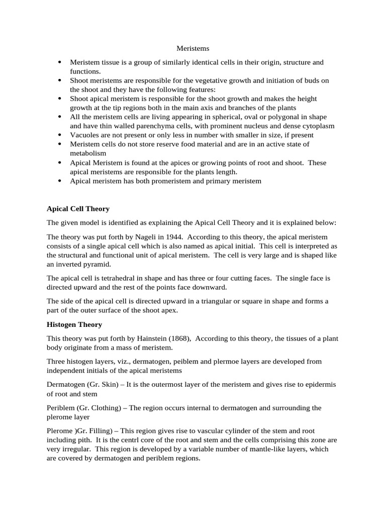 Meri Stems | PDF | Tissue (Biology) | Root