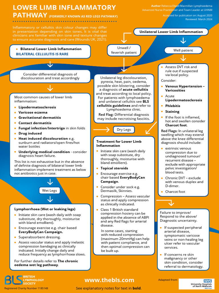 2120 - iPDF - Lower Limb Inflammatory Pathway 2024 FINAL | PDF ...