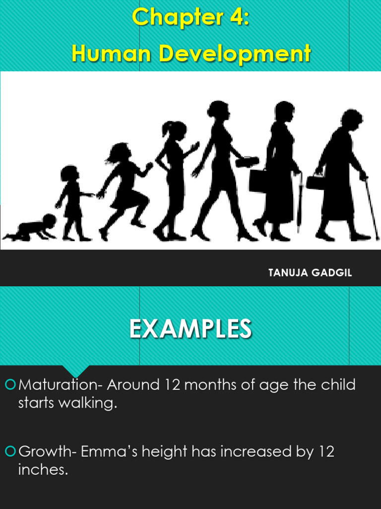 4 Chapter Human Development | PDF | Prenatal Development | Adolescence