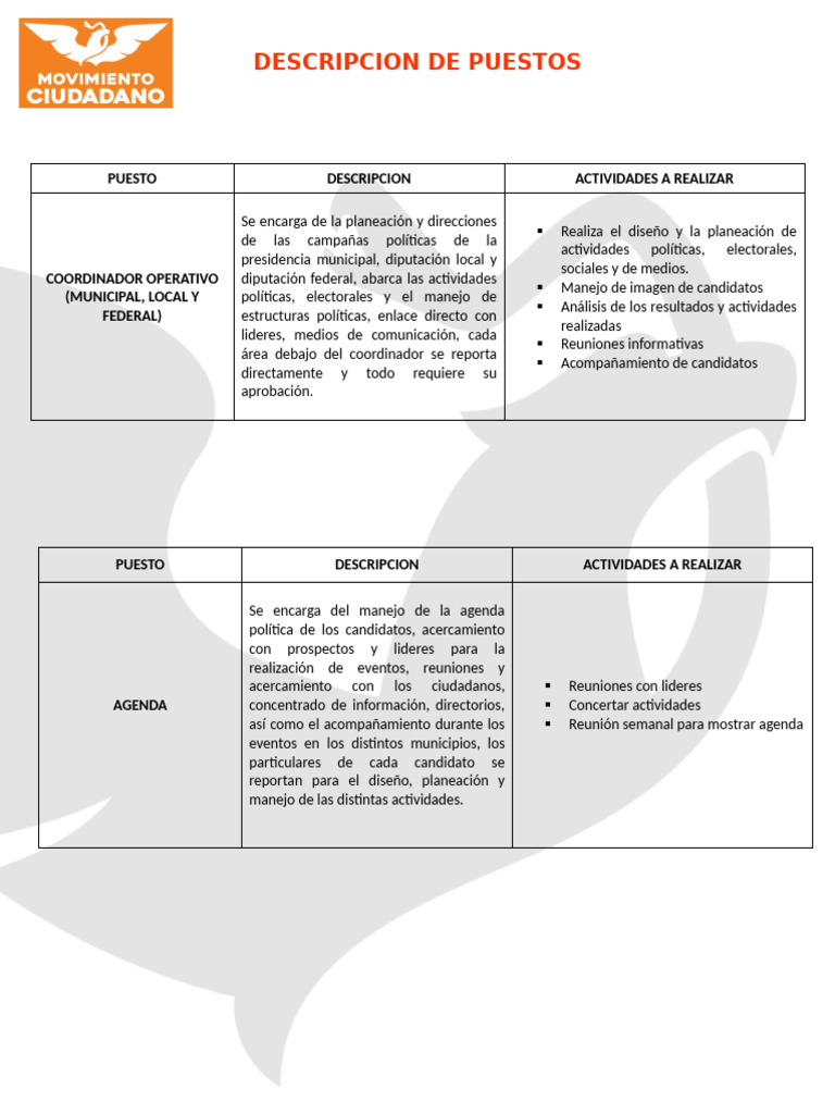 DESCRIPCION DE PUESTOS | PDF