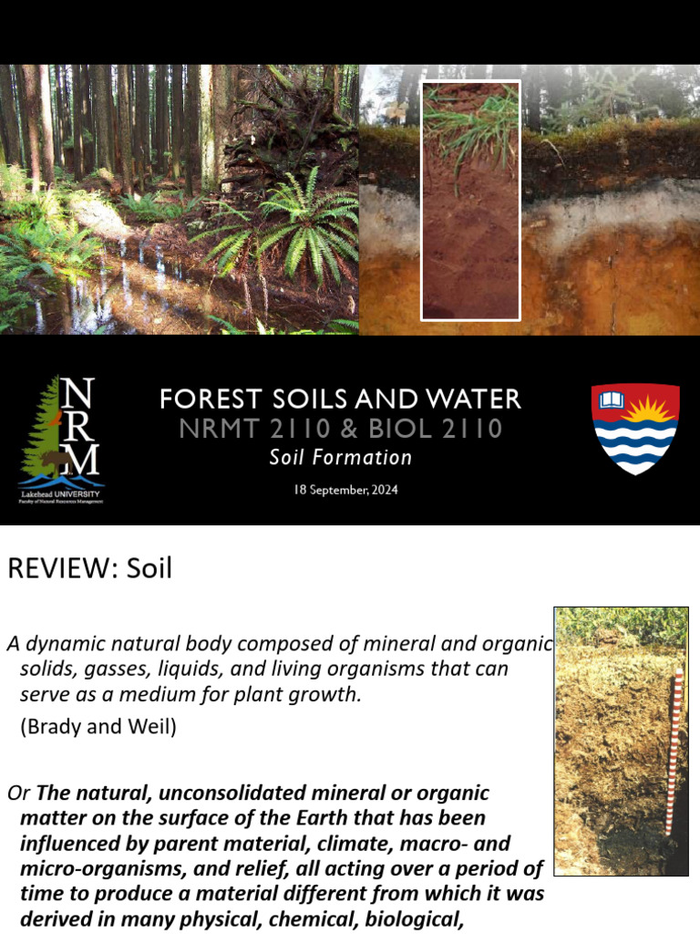 Soils T2 - Soil Formation | PDF | Weathering | Soil