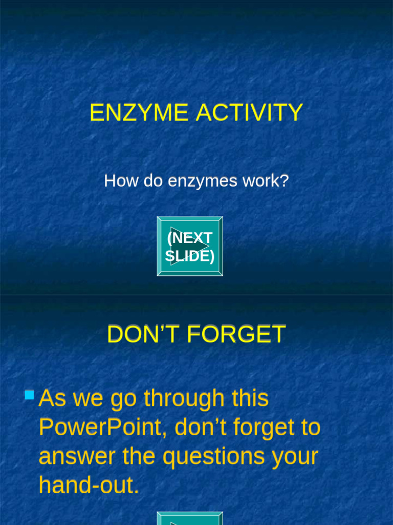 3 SSA Function of Enzymes | PDF | Enzyme | Proteins