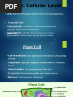 Grade 10 Plant Tissues & Organs Notes | PDF