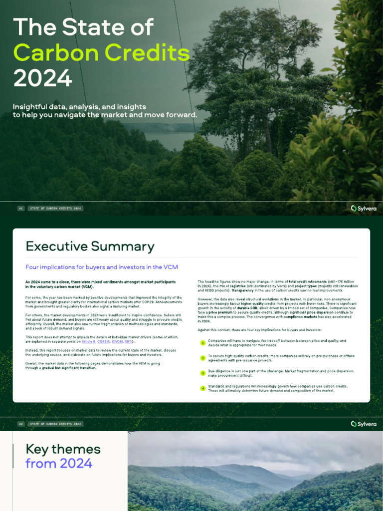 2024 State of Carbon Credits Report | PDF | Clean Development Mechanism ...