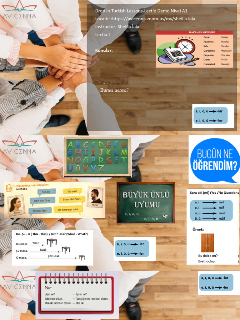 Lectia 2-Infinitiv, Li, Prezent | PDF