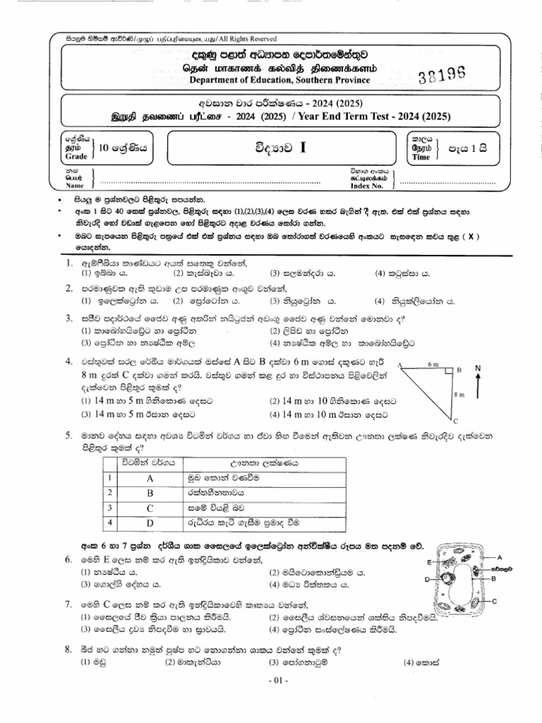GR 10 Sci 3rd T Southern Pro 2024 | PDF