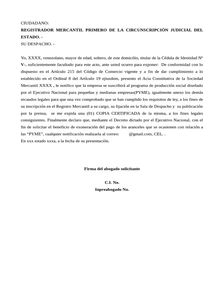 Modelo Pyme | PDF | Compartir (Finanzas) | Pequeñas y medianas empresas