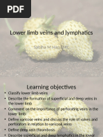 Terminology of Lower Limb Perforators | PDF | Vein | Foot