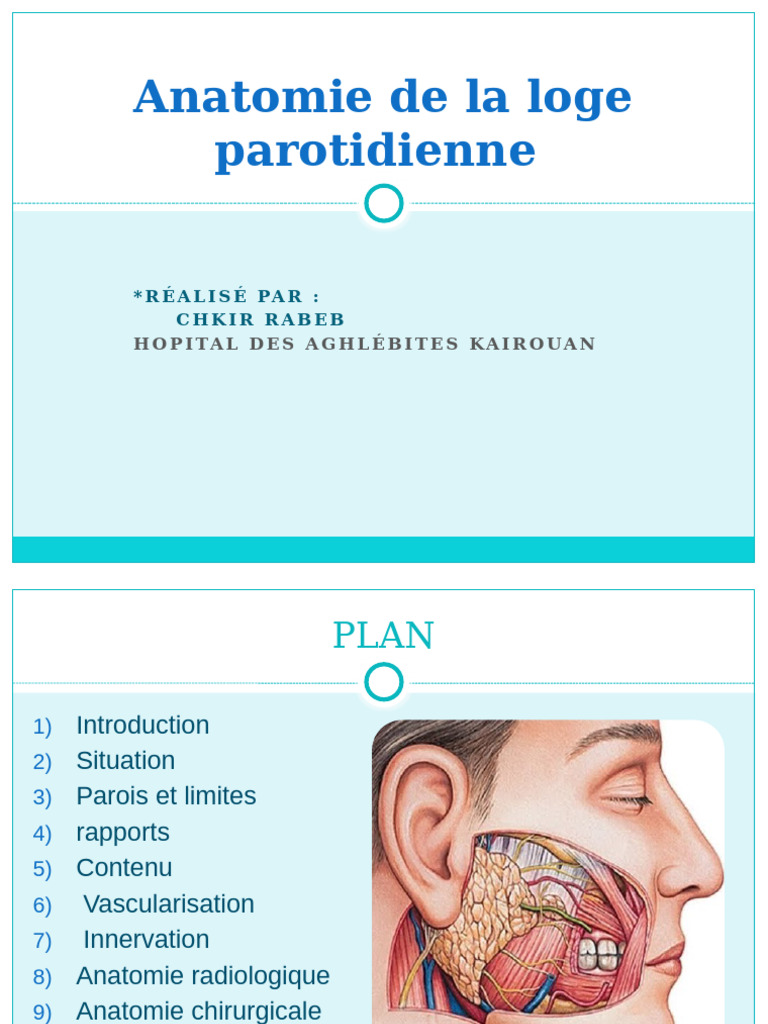 Anatomie de La Loge Parotidienne | PDF | Anatomie humaine | Tête et cou ...