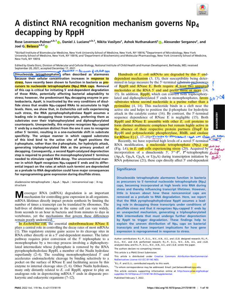 A Distinct RNA Recognition Mechanism Governs Np4 RPPH | PDF | Messenger Rna | Rna