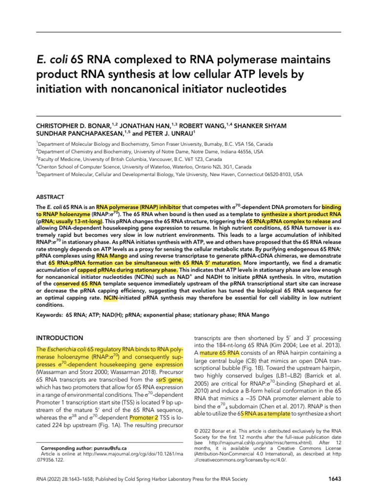 E. Coli 6S RNA and Short Capped RNA-2022-Bonar-1643-58 | PDF | Promoter ...