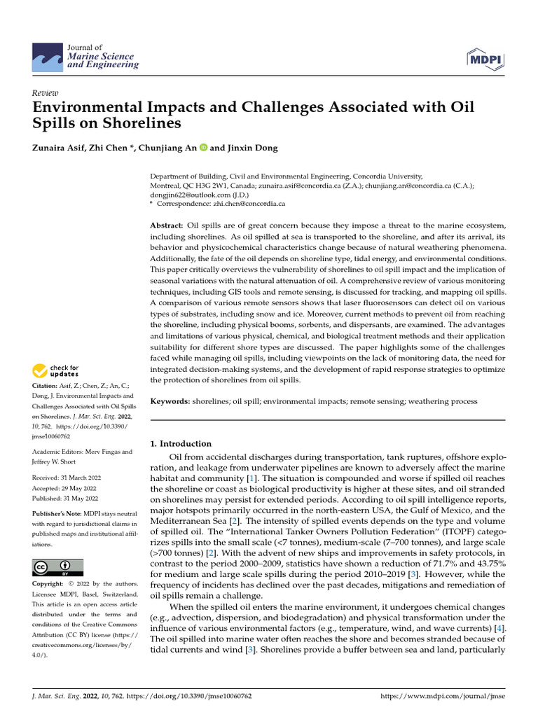 Oil Spill Impacts on Shorelines | PDF | Oil Spill | Coast