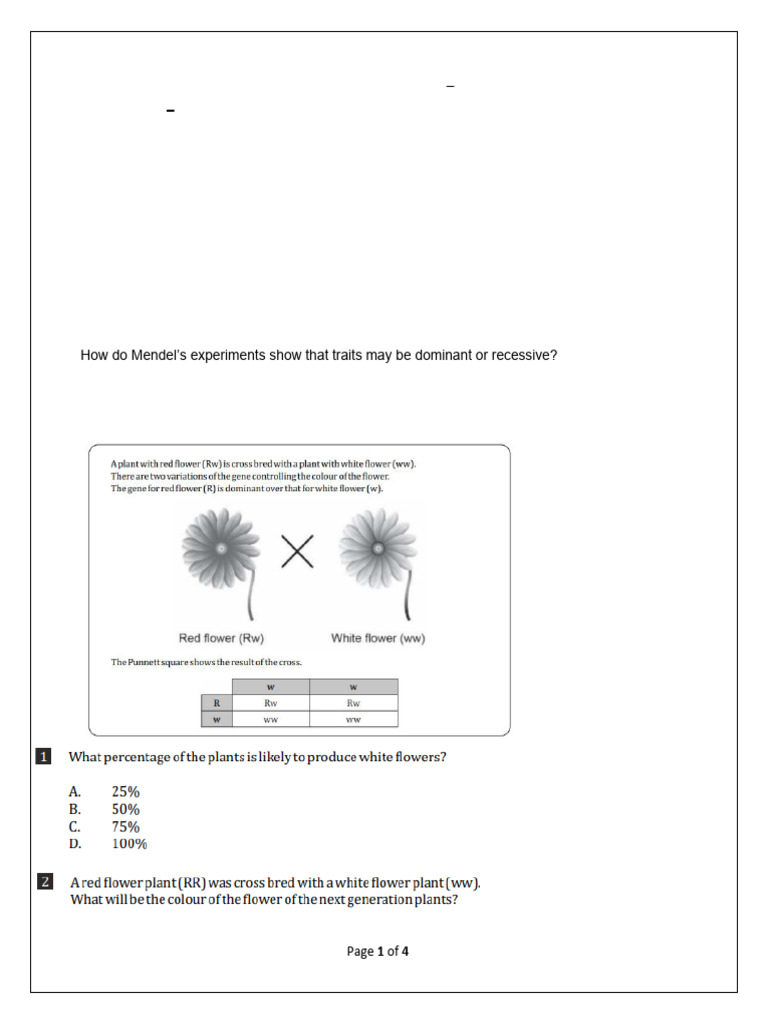 10-Heredity and Evolution Assignment | PDF | Dominance (Genetics) | Genotype