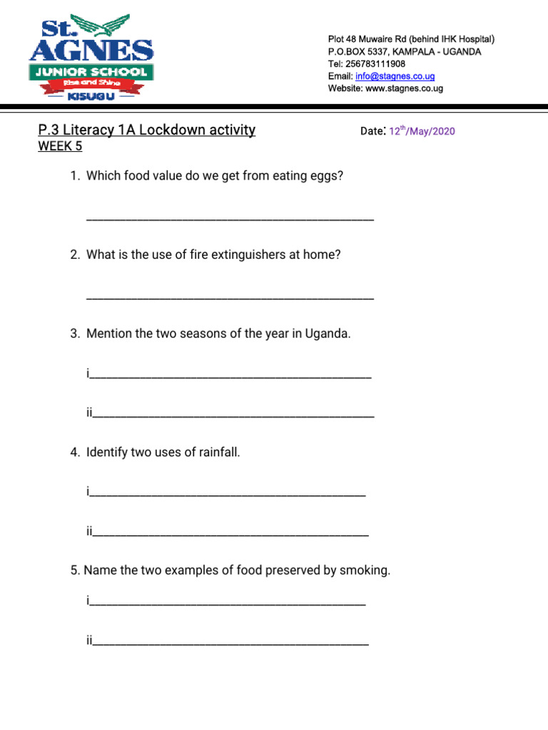 P.3 Literacy Lockdown Activity Guide | PDF