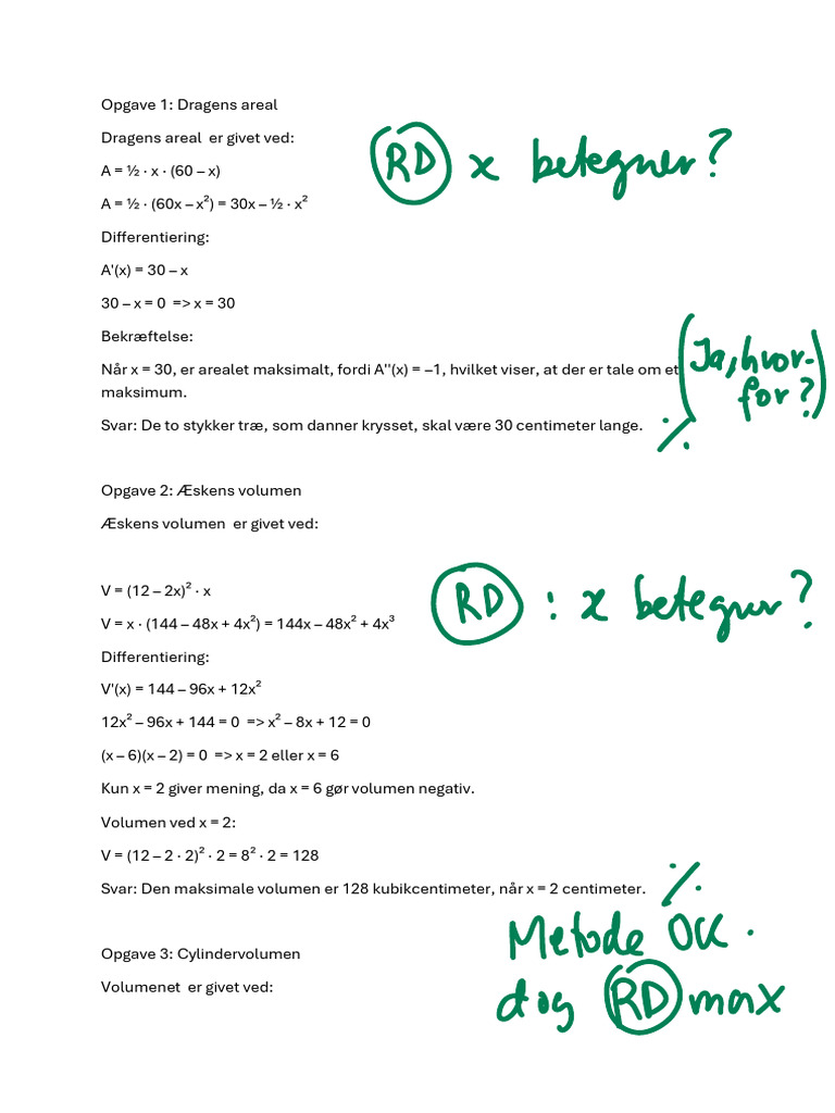 Opgave 1 Dragens Areal | PDF