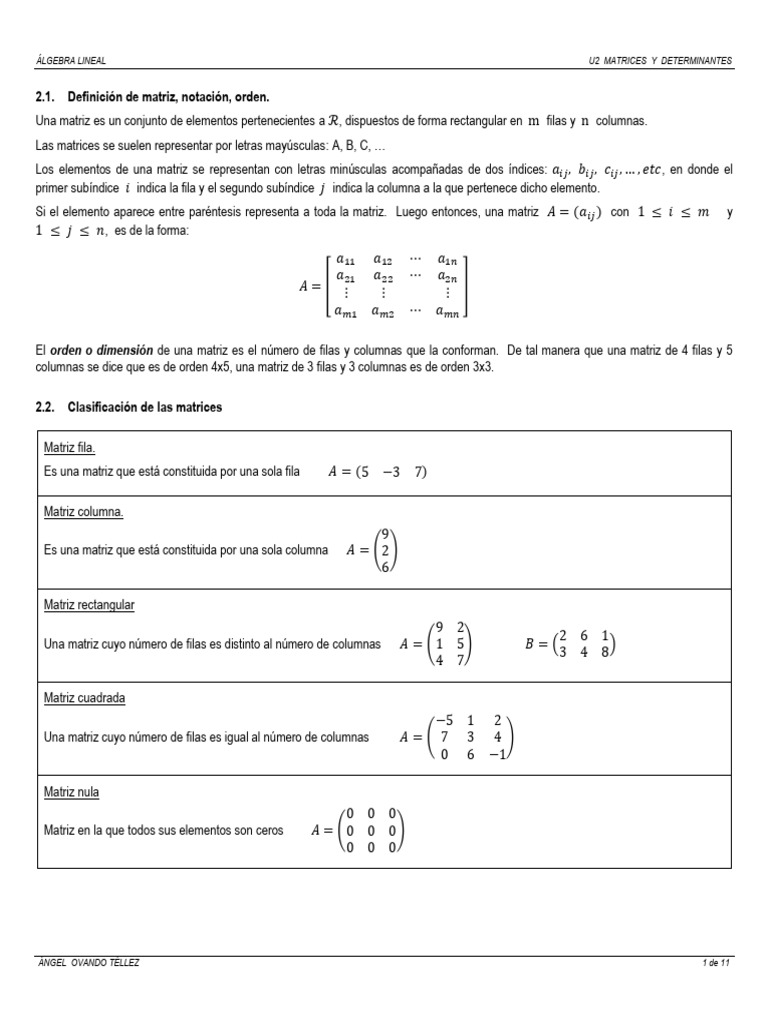 Matrices y Determinantes en Álgebra Lineal | PDF | Matriz (Matemáticas ...