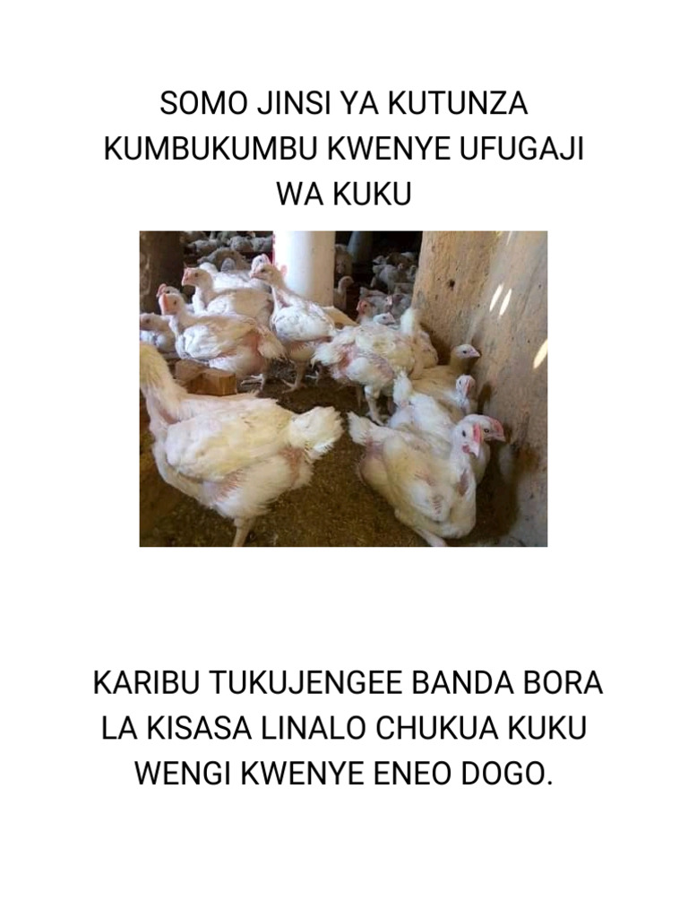 Jinsi Ya Kutunza Kumbukumbu | PDF