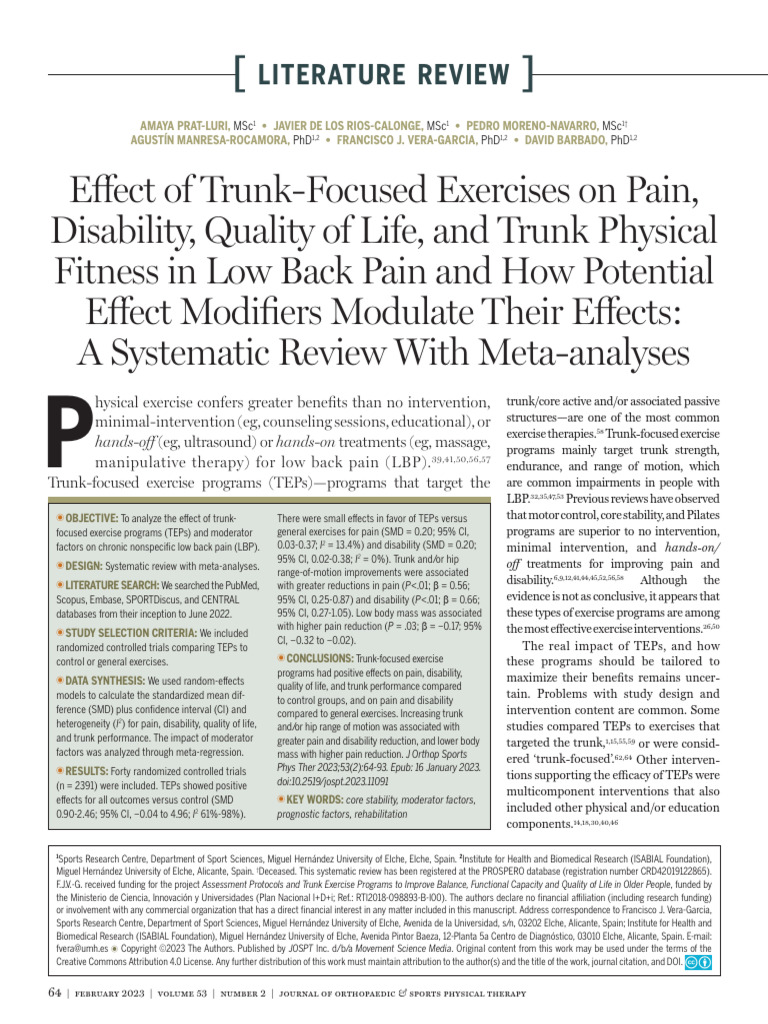 Literature Review: Hands-Off Hands-On | PDF | Low Back Pain | Clinical ...