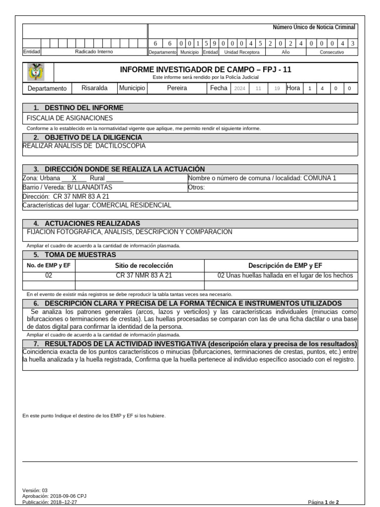 FPJ 11 Informe Investigador de Campo V Cris23 | PDF | Huella dactilar