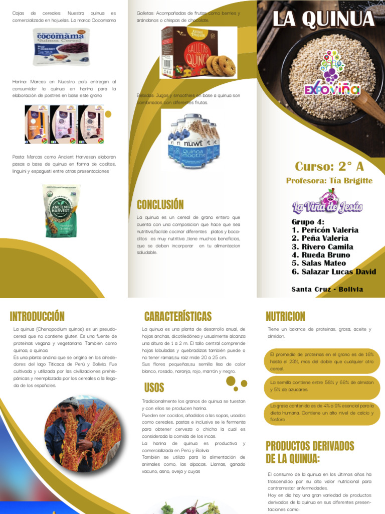 Triptico Vanesa | PDF | Quinua | Cereales