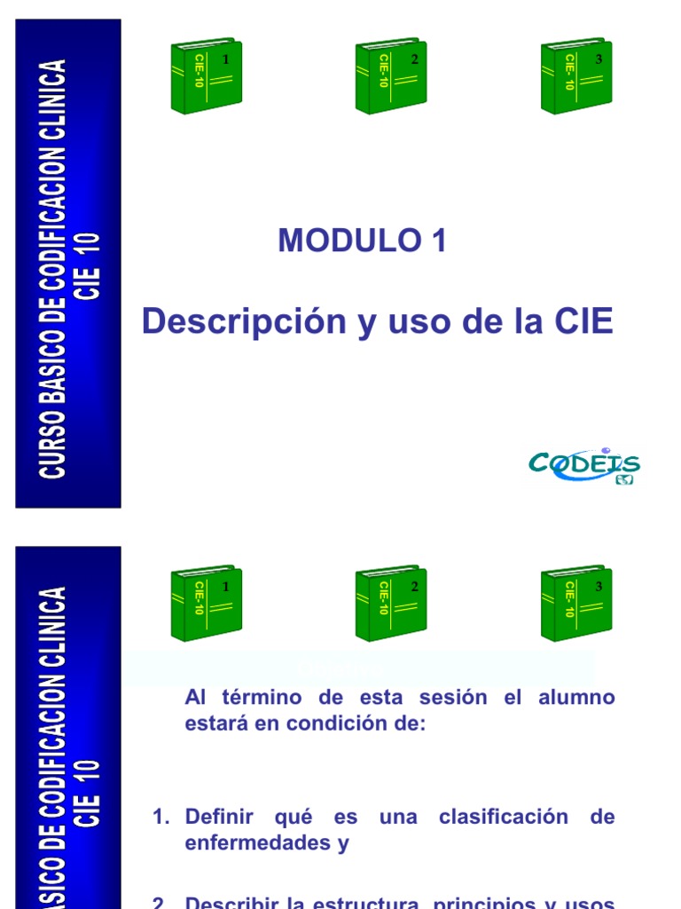 Descripcion y Uso de La CIE 10 | PDF