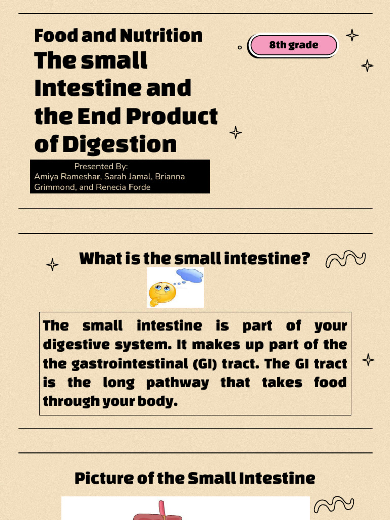 Food and Nutrition - The Small Intestine | PDF | Small Intestine ...
