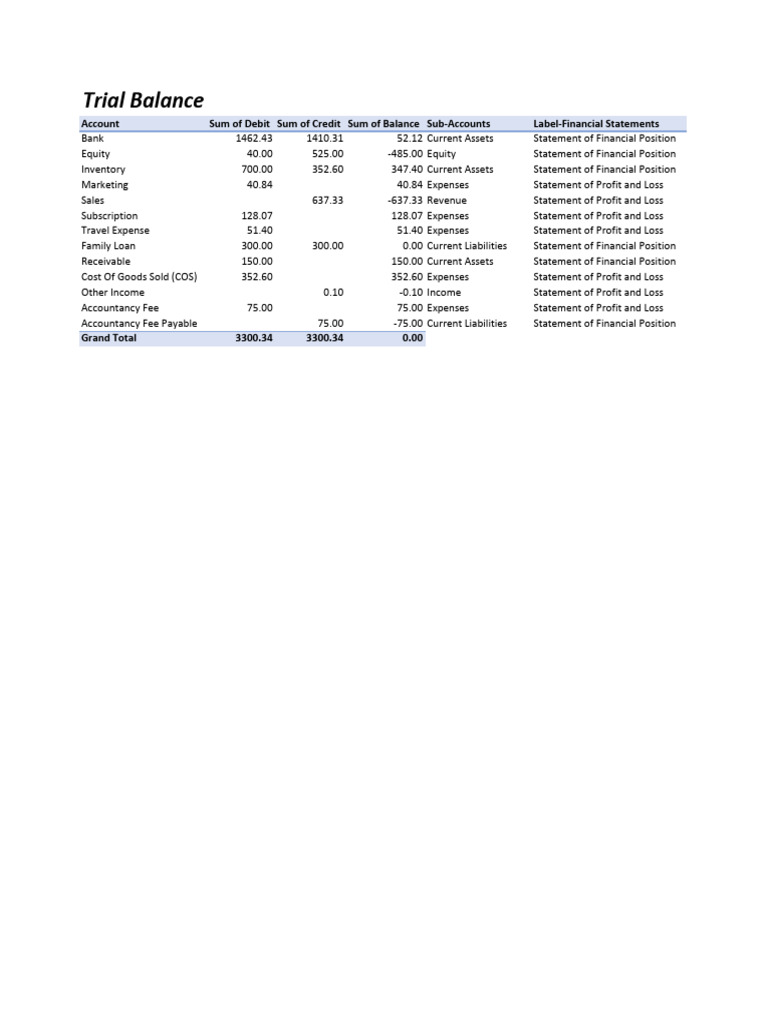 Trial Balance Summary and Analysis | PDF