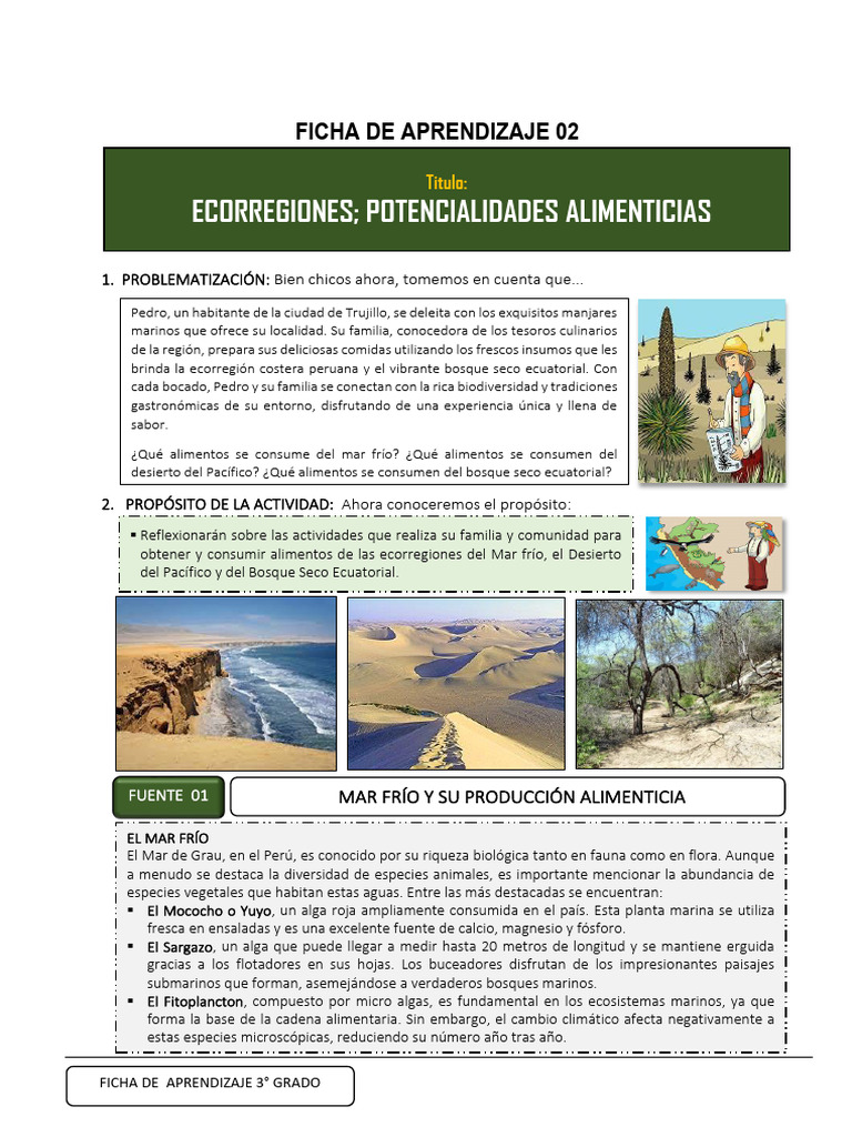 2 FICHA DE APRENDIZAJE CCSS 3° GRADO (3) | PDF | Mariscos