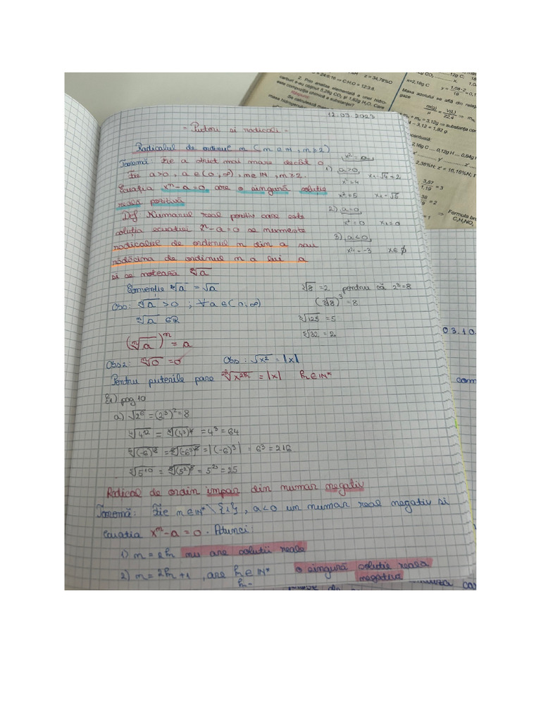 Puteri Si Radicali | PDF