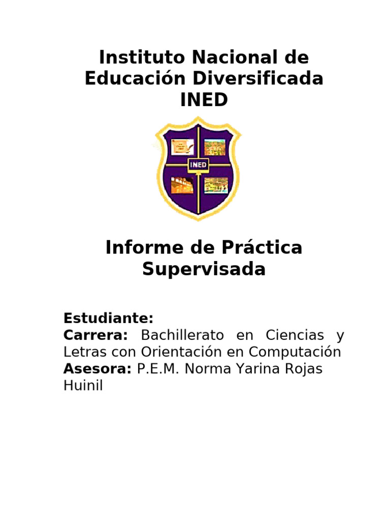 Informe Práctica Supervisada INED 2023 | PDF