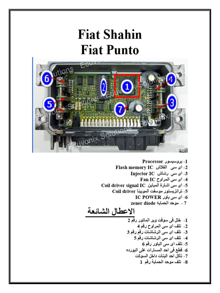 Fiat Shahin | PDF