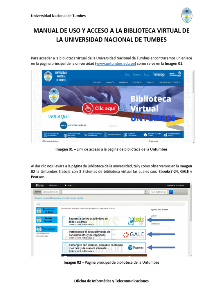 Manual de uso de biblioteca virtual - 2019 | PDF | Libreria digital | Internet