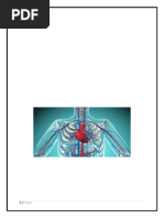 Quincke Sign in Aortic Regurgitation | PDF | Blood Pressure | Pulse