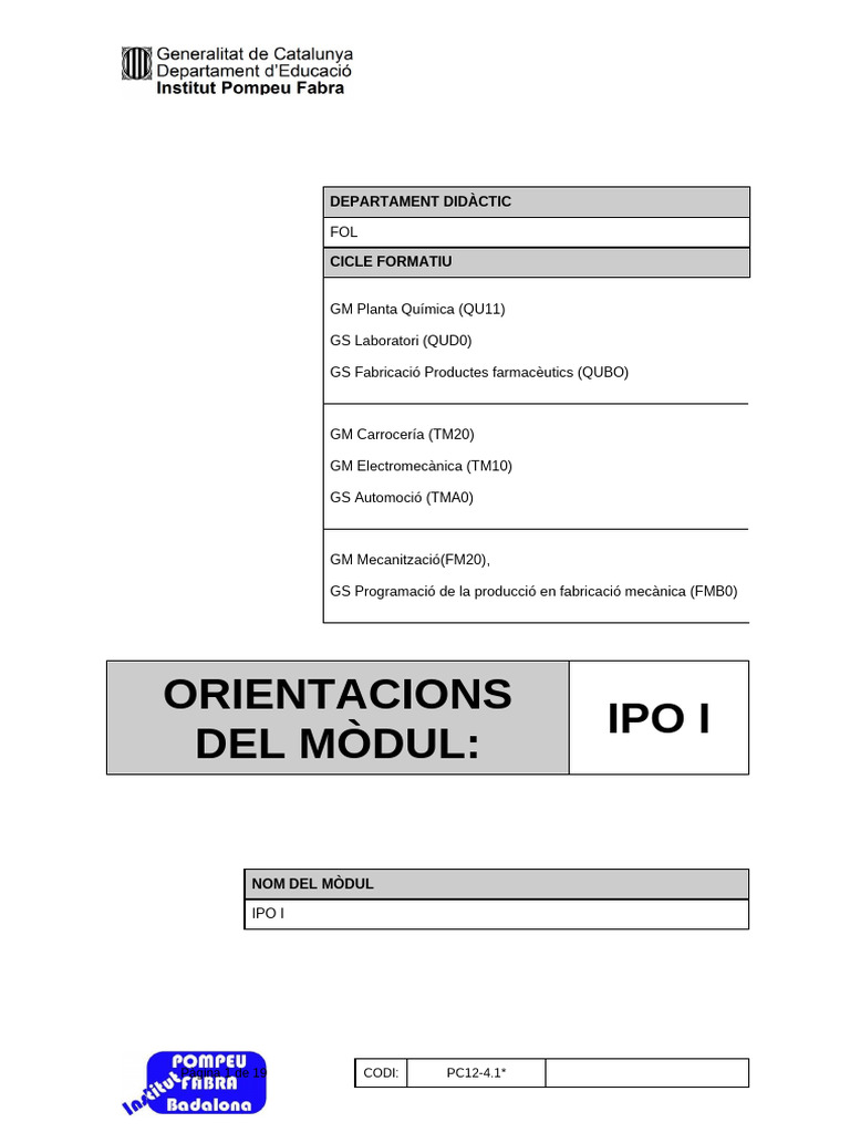 Orientacions IPO I 24-25 | PDF
