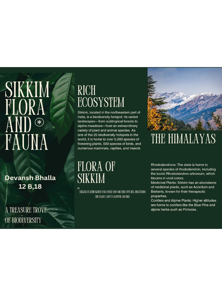 Art Integration Project | PDF