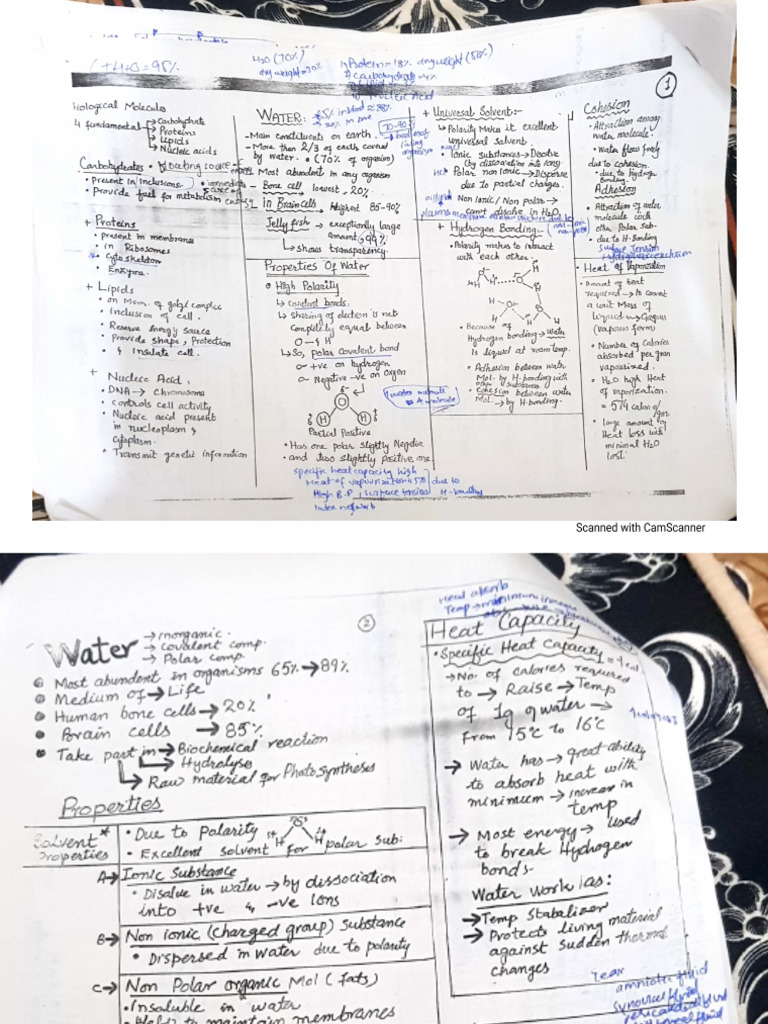 Biological Molecules | PDF