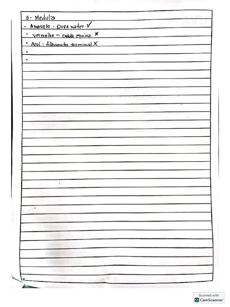 Ava3 - Ana Luisa | PDF