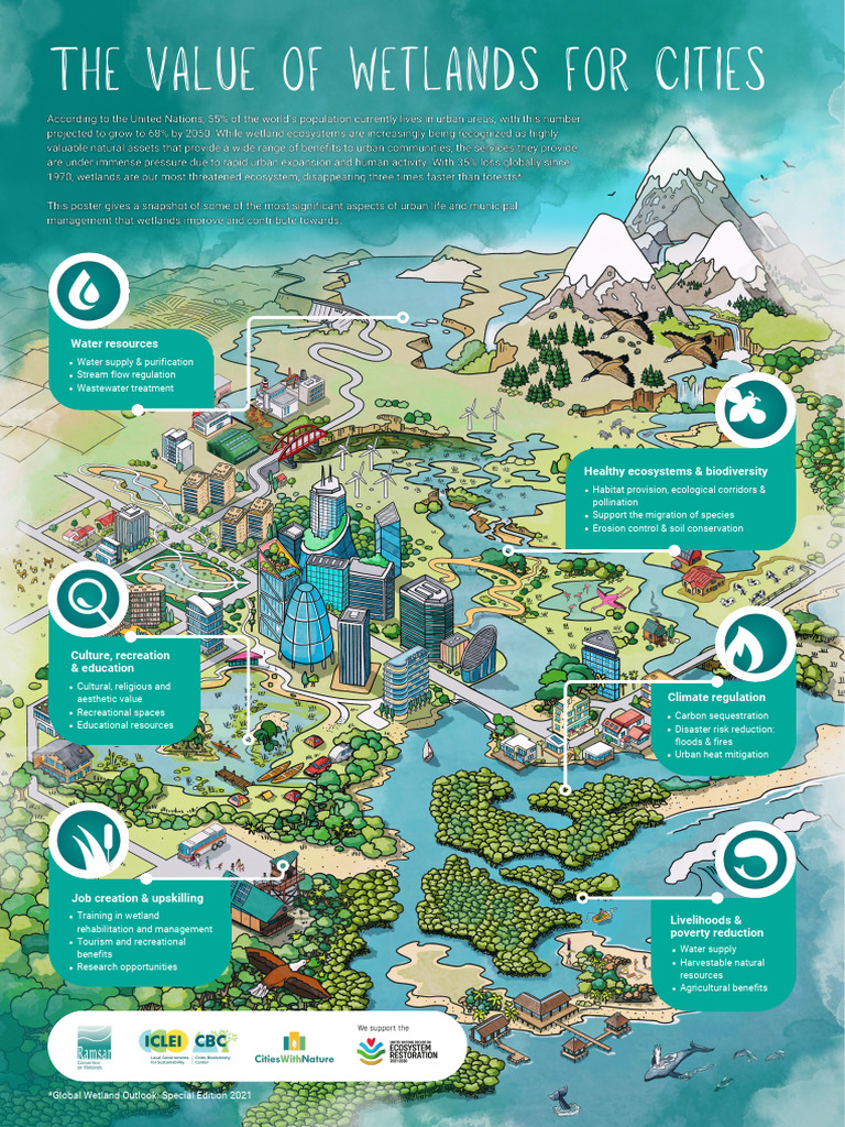 The Value of Wetlands For Cities POSTER - Compressed 1 | PDF