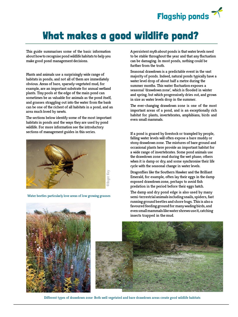 What Makes A Good Wildlife Pond NEW | PDF | Pond | Habitat