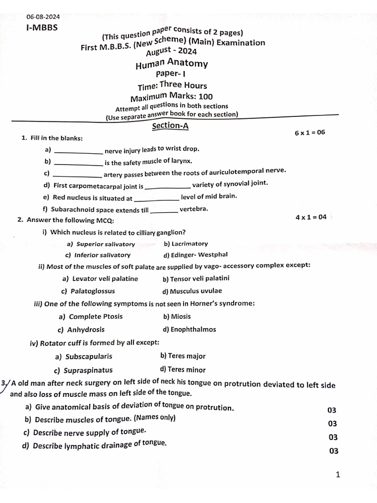 Mbbs 1st Year Ruhs 2024 | PDF