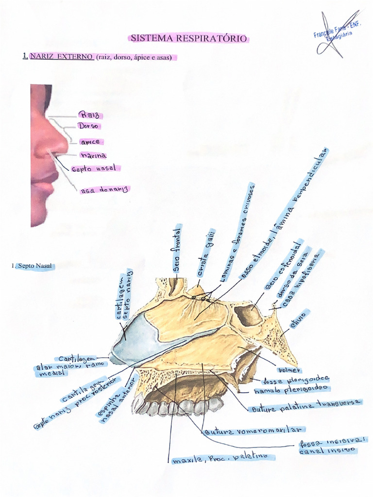 Lição anatomia | PDF