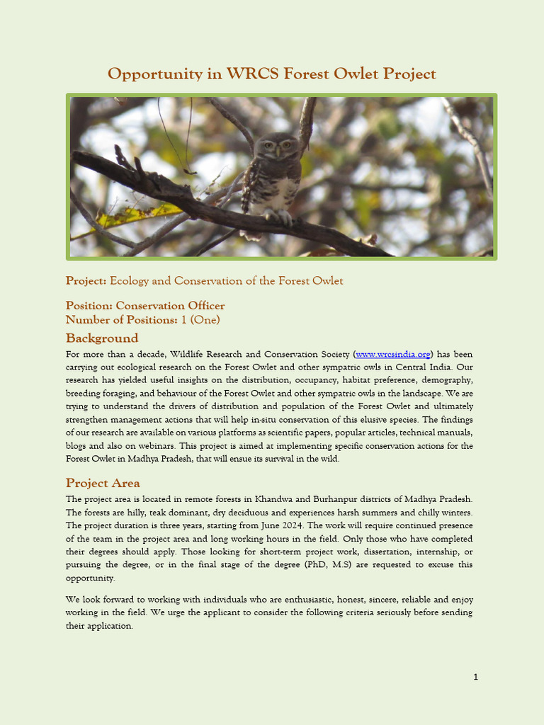 Conservation Officer On Forest Owlet Project MP 2025 | PDF | Natural ...
